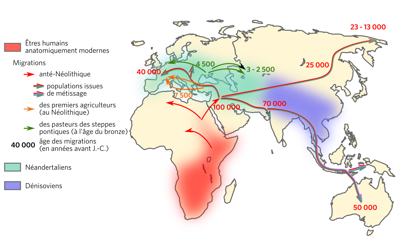 Carte des migrations humaines | Planet-Vie